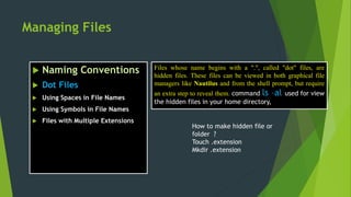 Management file and directory in linux | PPSX