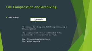 Management file and directory in linux | PPSX