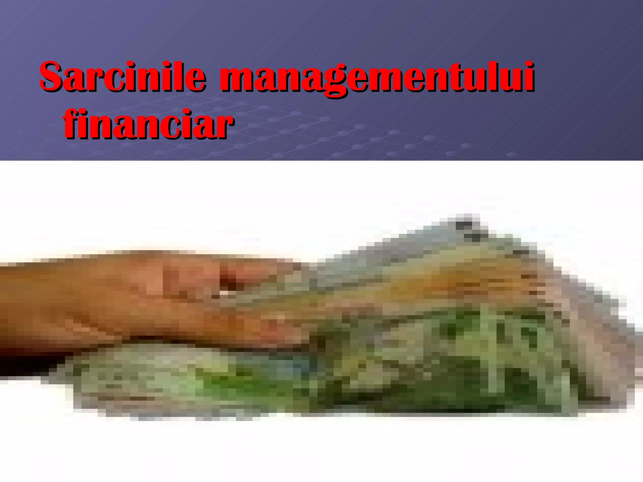 Management Financiar Public | PPT