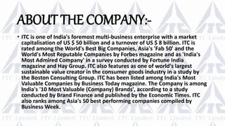 Management foundation, ITC Company Organizational Structure ,AMITY ...