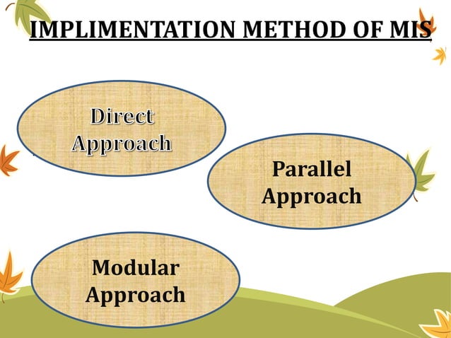 Management information and evaluation system | PPTX | Healthcare Industry | Industries