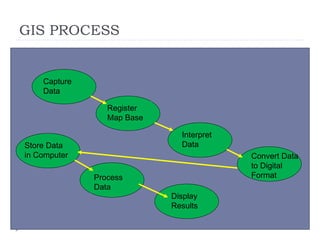 Management information system | PPTX