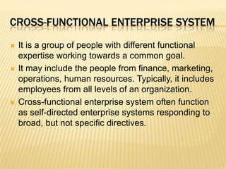 MIS 17 Cross-Functional Enterprise Systems | PPTX