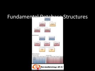 Management information system database management | PPT