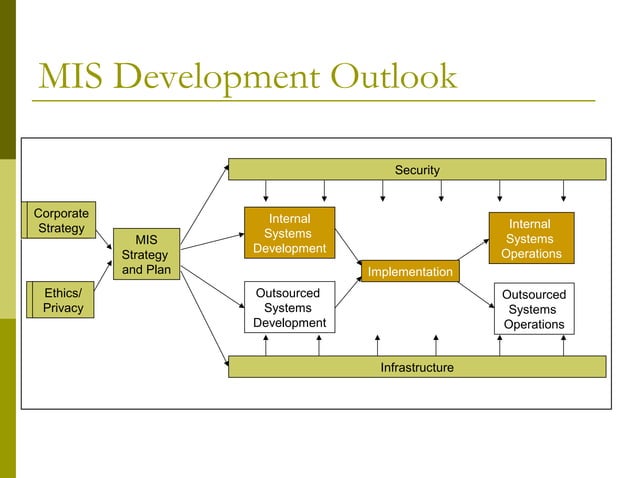 Management Information System (MIS)