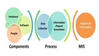 Management information system presentation | PPTX