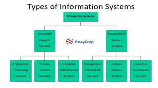 Management information systems | PPTX