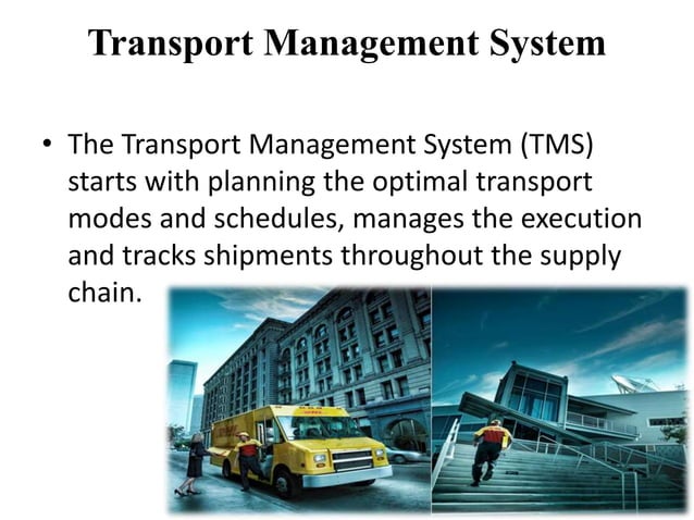 Management information systems in DHL | PPTX