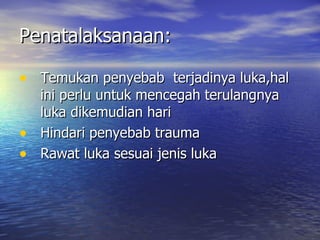 Management Luka | PPT