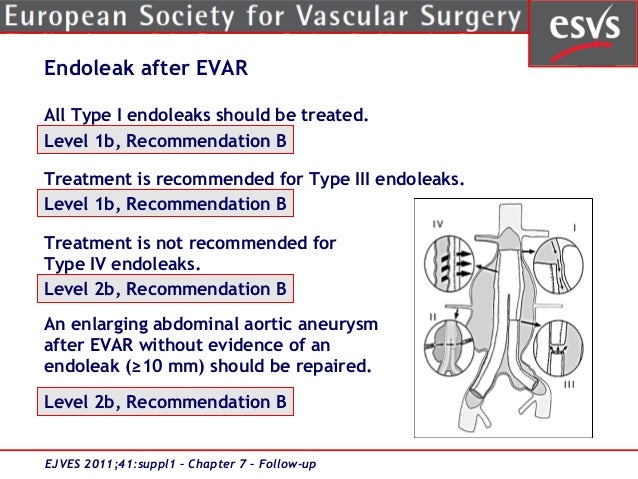 Management of aaa clinical practice guidelines of the esvs