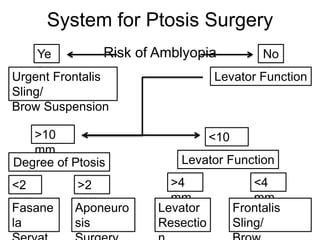 Management of a Case of Ptosis management of case of ptosis | PPTX