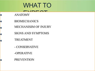 Management of ACL injury .pptx