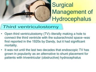 Management of acute hydrocephalus | PPTX | Brain and Nervous System ...