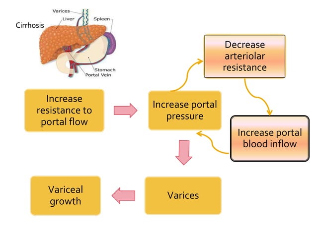 Management of acute variceal bleeding | PPTX | Digestive Disorders | Diseases and Conditions