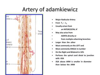 SPINAL CORD PROTECTION MANAGEMENT IN COARCTATION OF AORTA SURGERY | PPTX