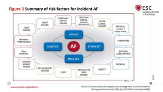 management of af.pptx