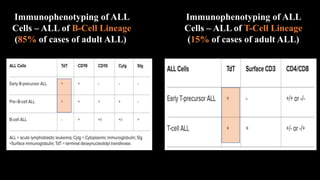 Acute Lymphoblastic Leukemia | PPTX