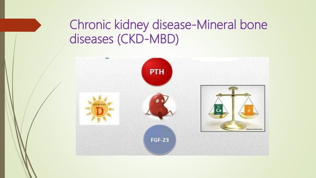 Management of Anemia and Mineral Bone Diseases in CKD.pptx | Endocrine ...