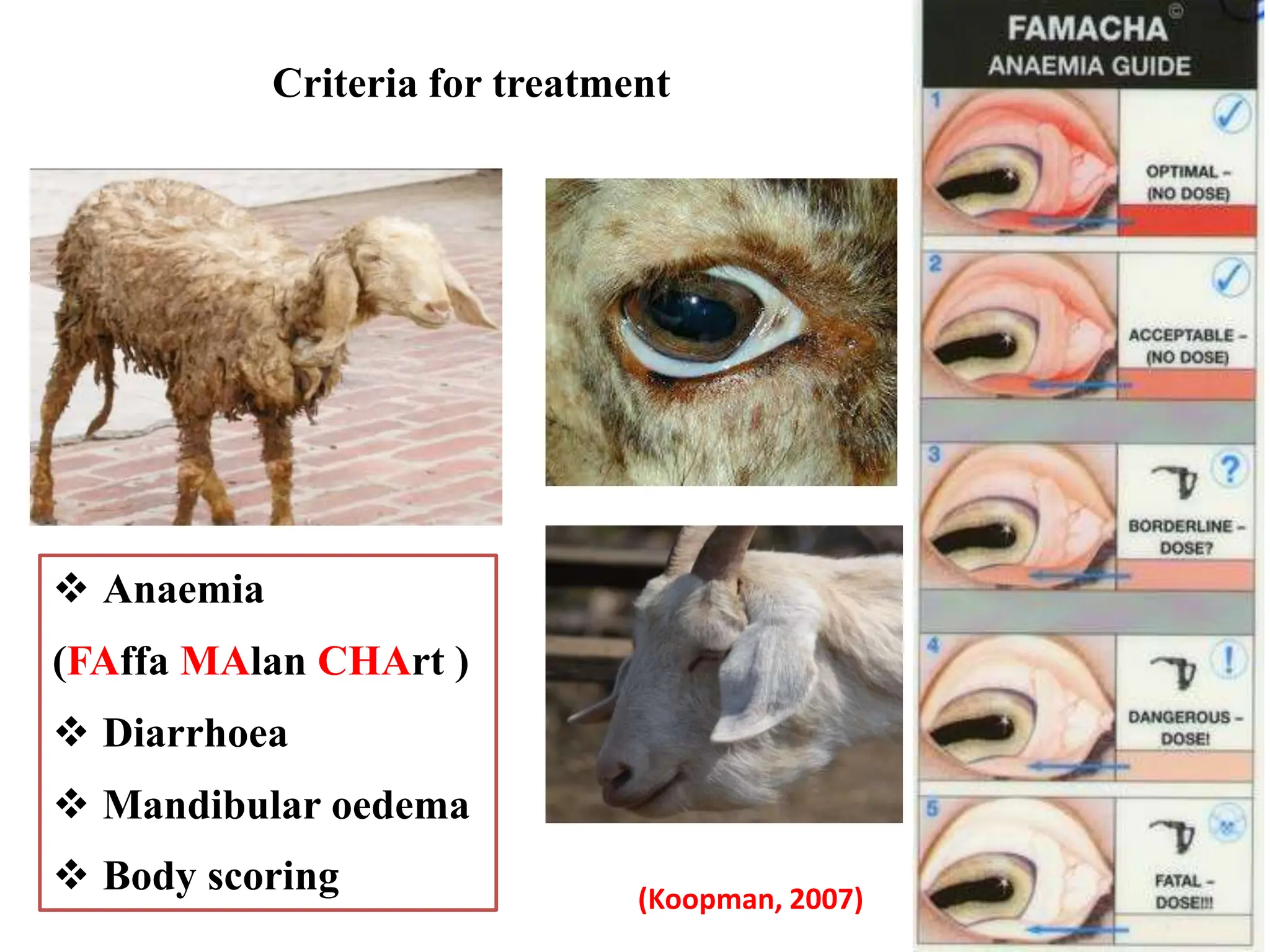 Management of anthelmintic resistance.pptx