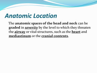 Management of apical lesions | PPTX