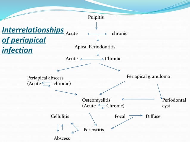 Management of apical lesions | PPTX