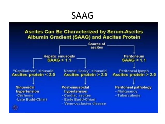 Management of ascites | PPTX | Blood Disorders | Diseases and Conditions