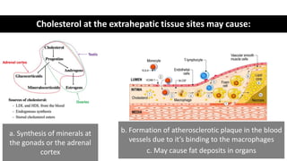Management of atherosclerosis and hyperlipidemia.pdf