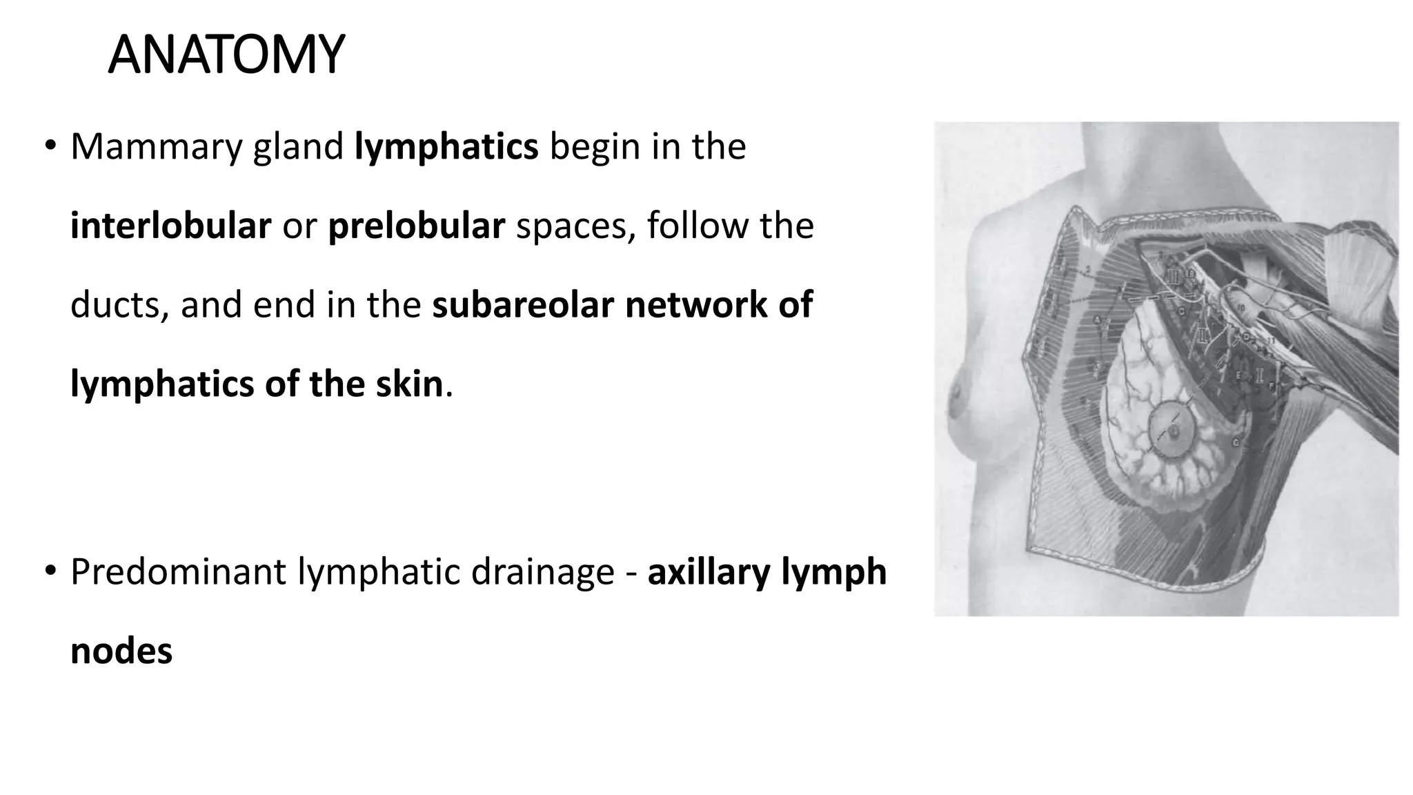 Management of axilla in carcinoma breast | PPTX