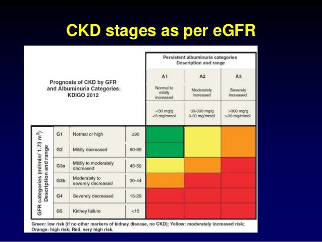 Management of coronary disease in diabetes - Is it different?