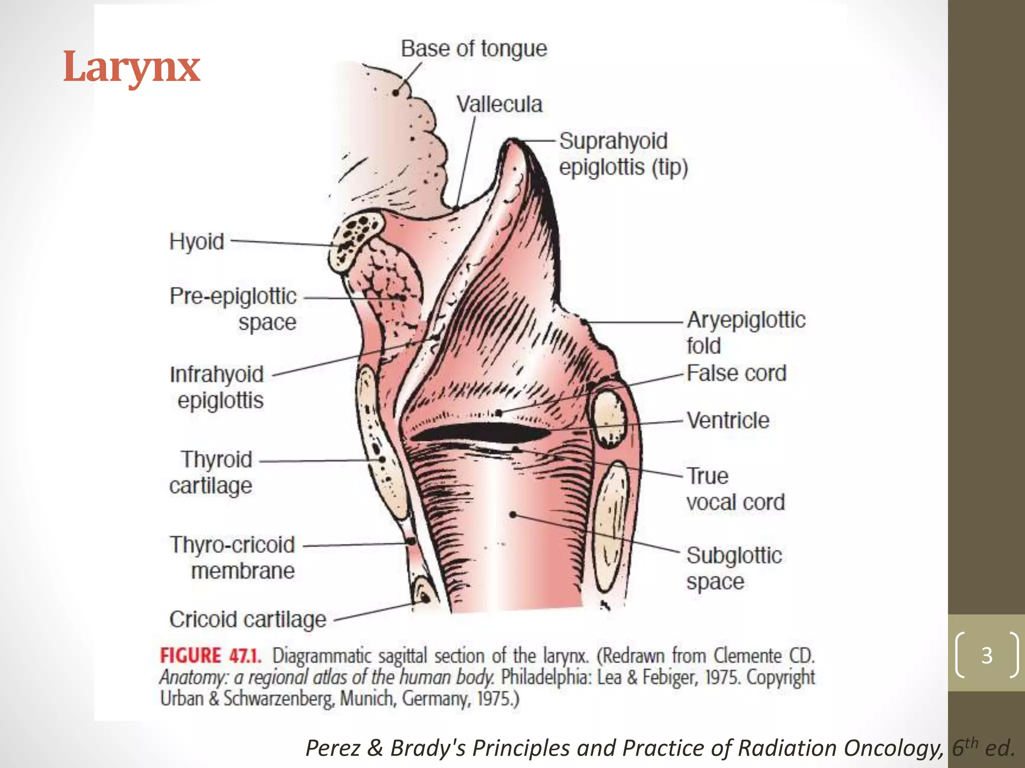 Management of ca larynx and hypopharynx | PPTX