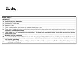 Management of ca maxillary sinus | PPTX