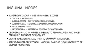 MANAGEMENT OF CARCINOMA PENIS.pptx surgical and conservative | PPTX