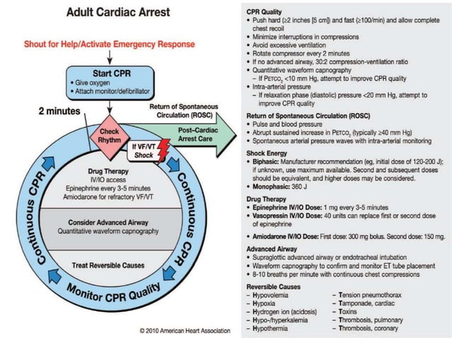 Management of cardiac arrest | PPTX