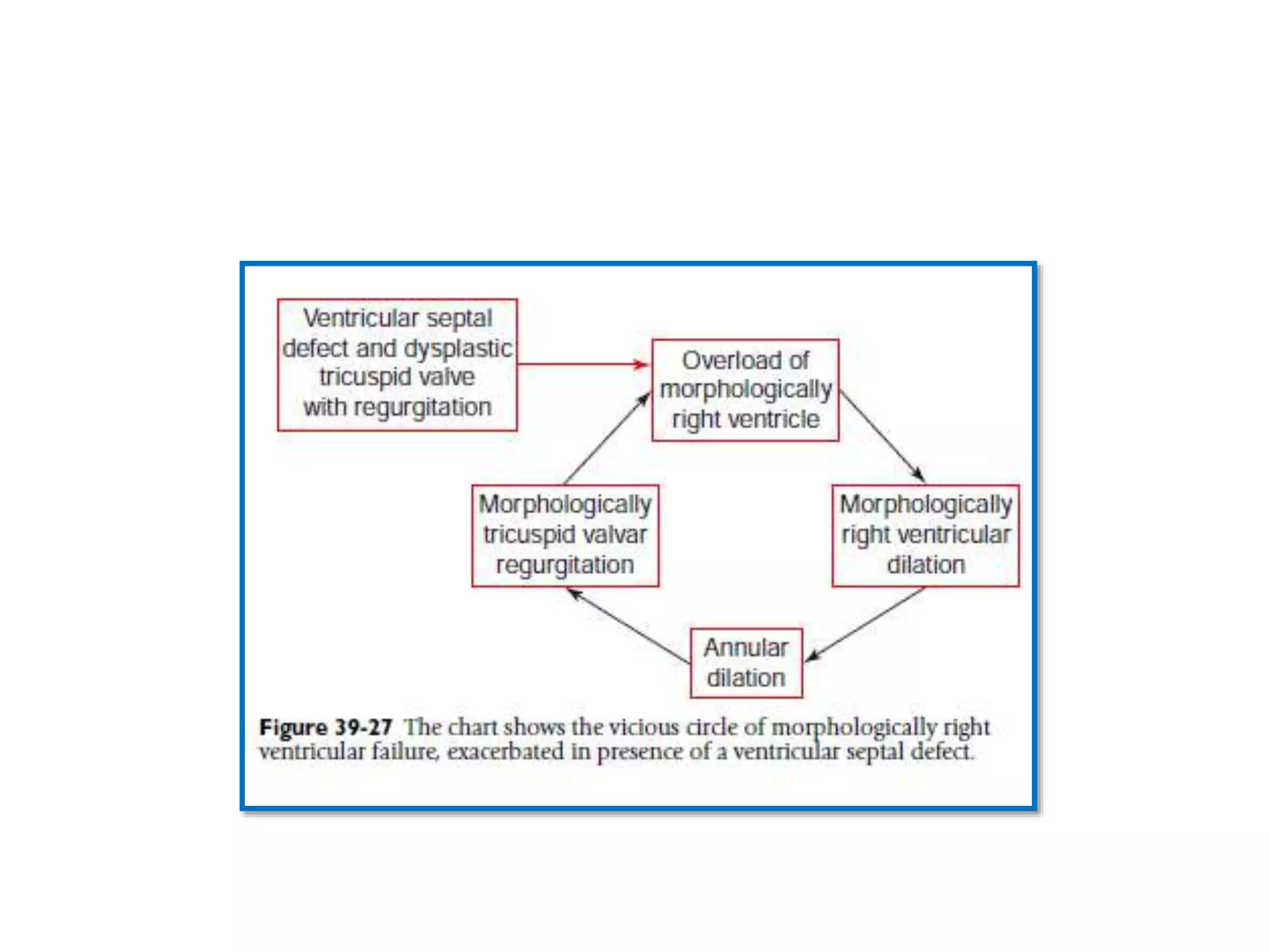 Management of cc tga | PPTX