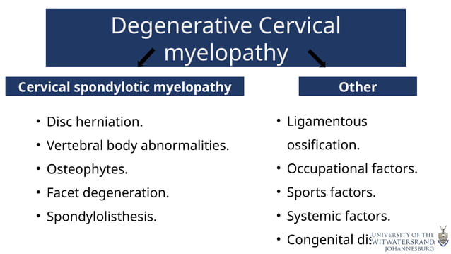 Management of cervical myelopathy VN.pptx