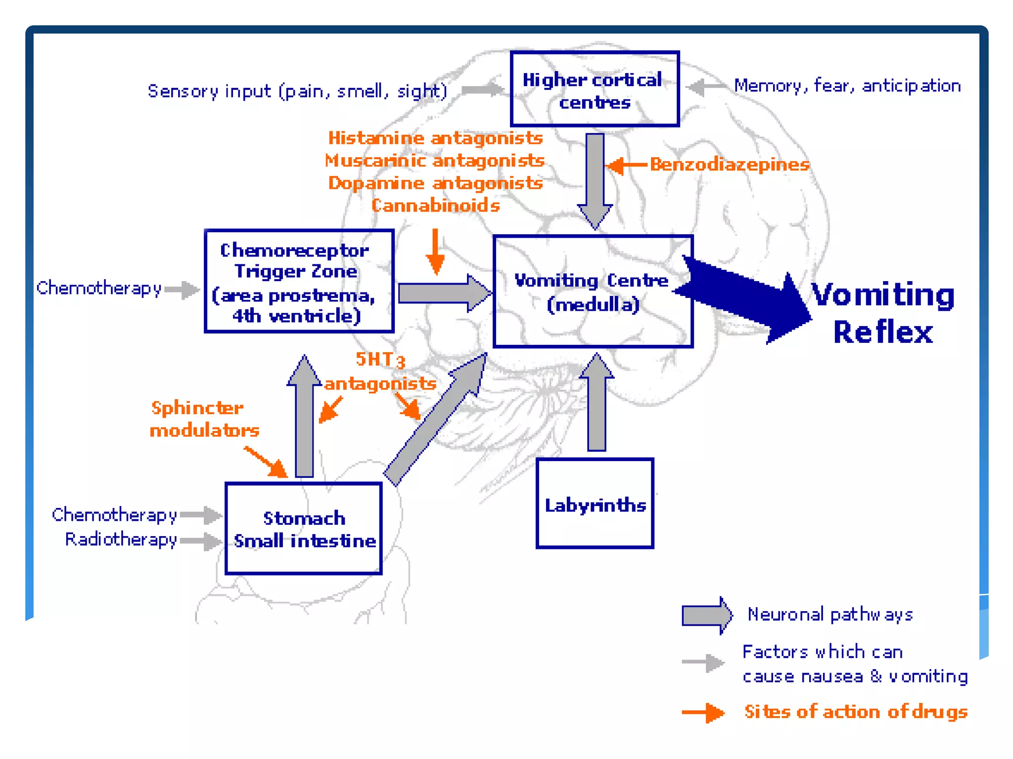 Management of chemotherapy complications | PPTX
