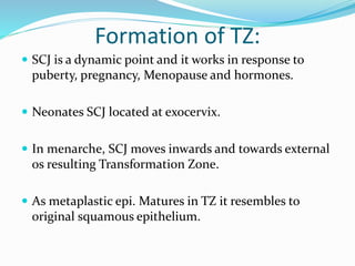 Management of cin | PPTX
