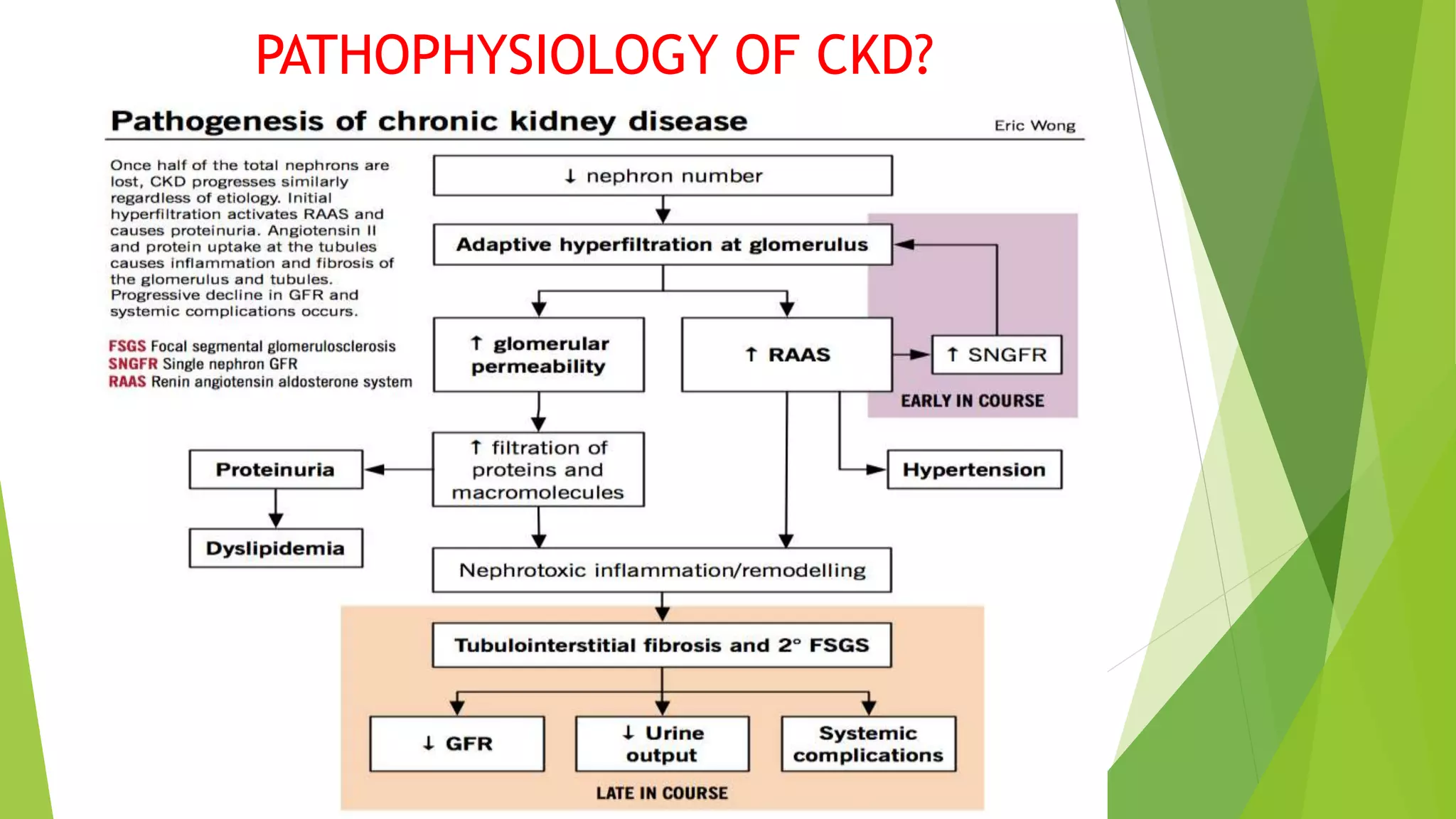 Management of ckd | PPTX
