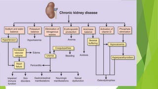 Management Of Ckd Pptx