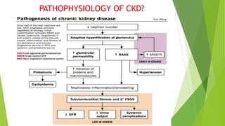 Management of ckd | PPTX