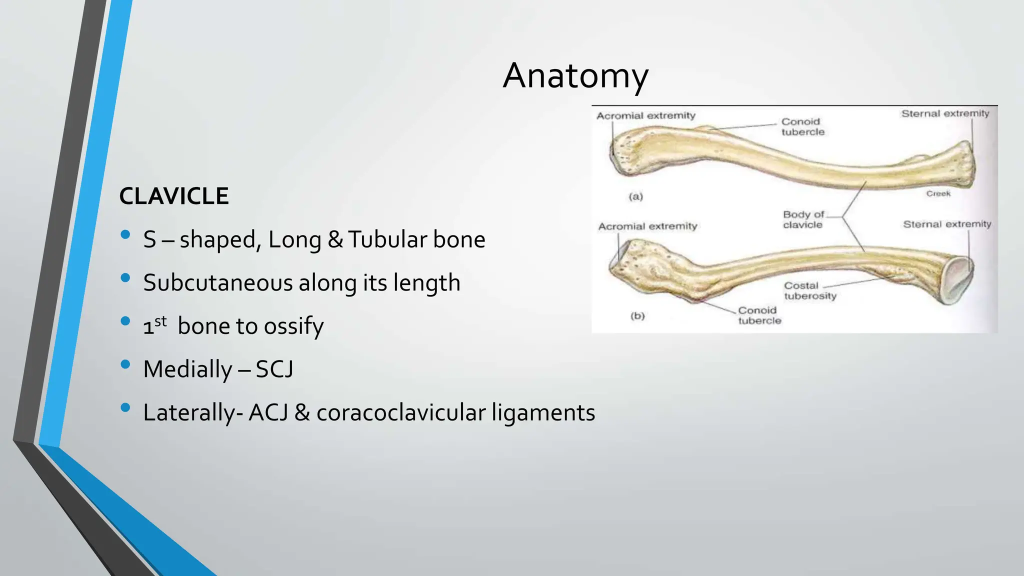 managements of the clavicle fracture.pptx