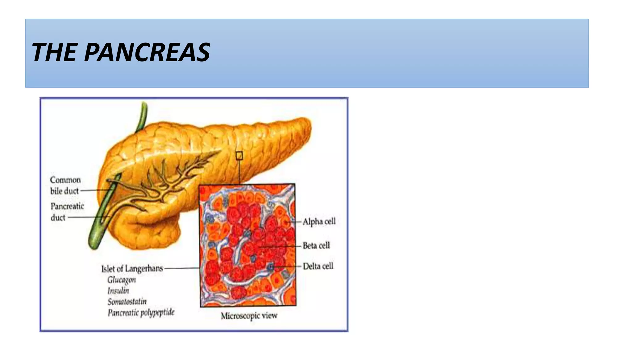 Nursing assessment and Management clients with Pancreatic disorders | PPTX