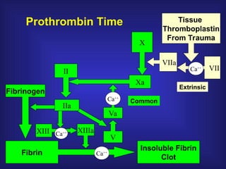 Management of Coagulopathy and Trauma.ppt