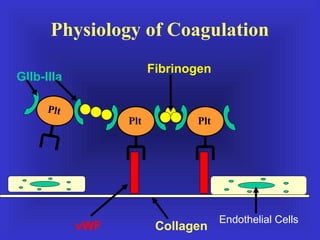 Management of Coagulopathy and Trauma.ppt