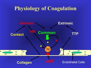 Management of Coagulopathy and Trauma.ppt