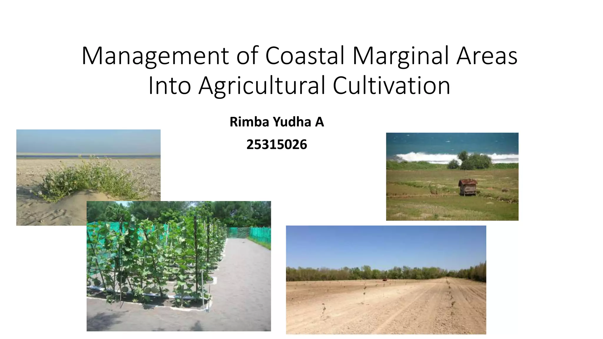 Management of coastal marginal areas into agricultural cultivation | PPTX