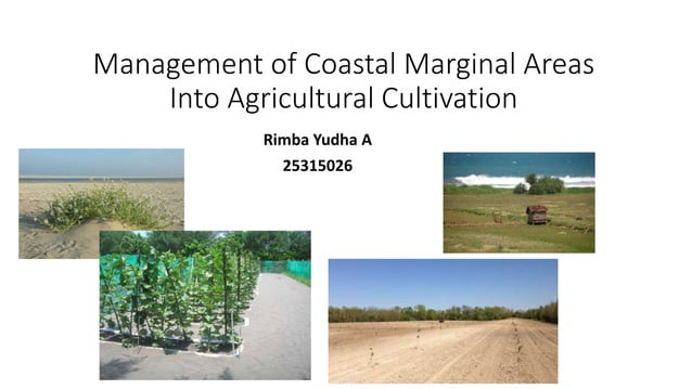 Management of coastal marginal areas into agricultural cultivation | PPT