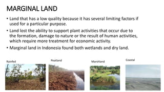 Management of coastal marginal areas into agricultural cultivation | PPT