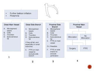 A Practical Approach to the Management of Complications During ...