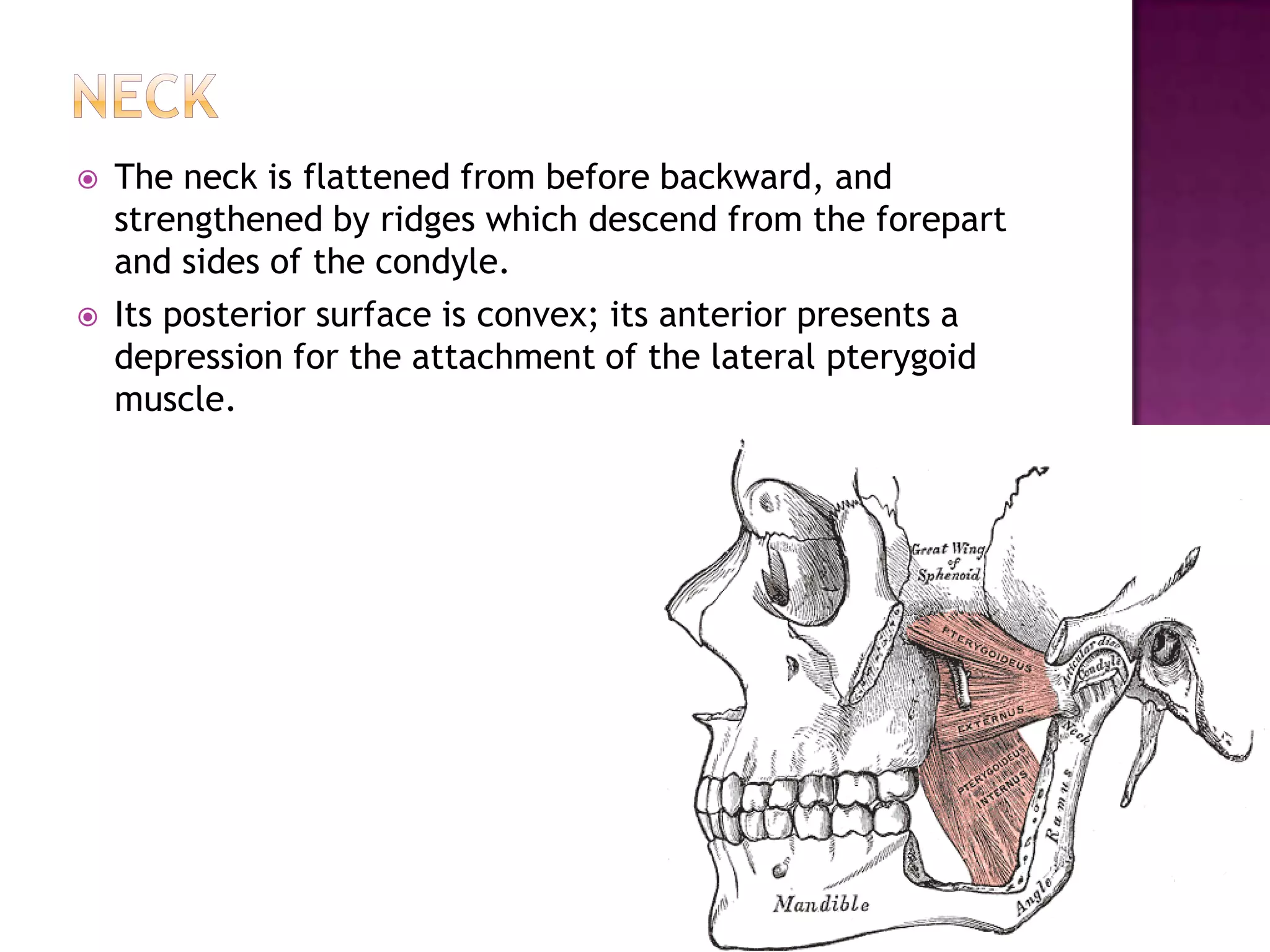 Management of condylar fractures | PPTX